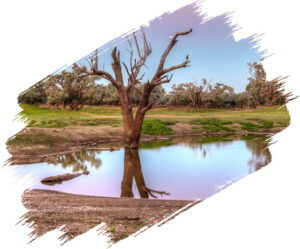 Back o' Bourke – beyond the black stump